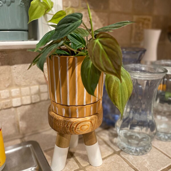 Mini Wood Plant Stand, Riser or Counter Stool - Etsy