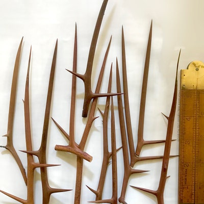 14 Unseamed Back Jeans Pockets, Reclaimed Pockets, Detached Back ...