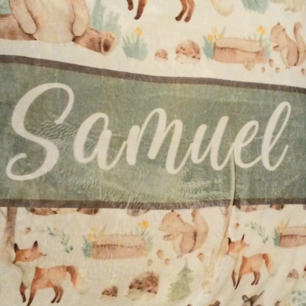 Peter Rabbit Baby Blanket Boy, Custom Baby Blanket Boy, Peter Rabbit ...