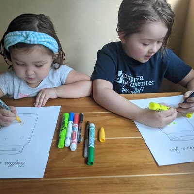 Firefly Unit Study Bundle - Etsy