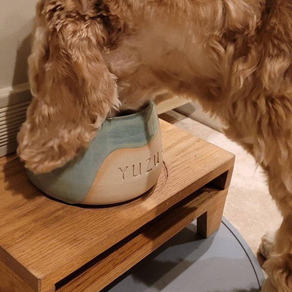 Personalised Spaniel Bowl | Handmade Ceramic | Water Food Bowl New Pet ...