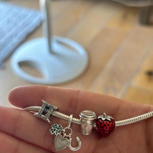 100th Anniversary Cinderella's Enchanted Charm,sliver Bracelet Charms ...