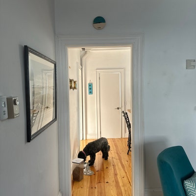 Objectify TV Test Pattern Wall Clock - Etsy