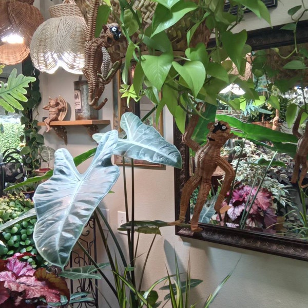 ARCO ARK and Toy Animals - 1970s - Unopened - 2 Pkgs of Monkeys & 2 ...