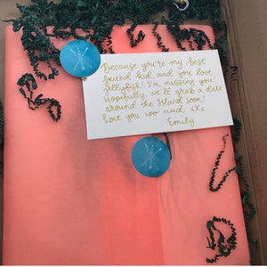 DUTCH Version Animal Alphabet Poster Watercolor Handmade - Etsy