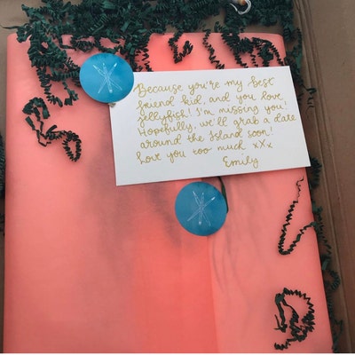 DUTCH Version Animal Alphabet Poster Watercolor Handmade - Etsy