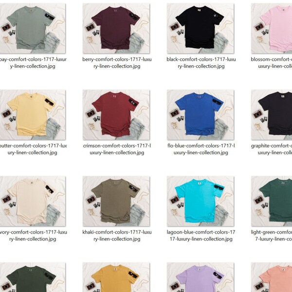 Editable Comfort Colors 1717 Color Chart, Customizable Canva Template ...