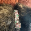 ACU Digital Camo Dog Collar by Swanky Pet - Etsy