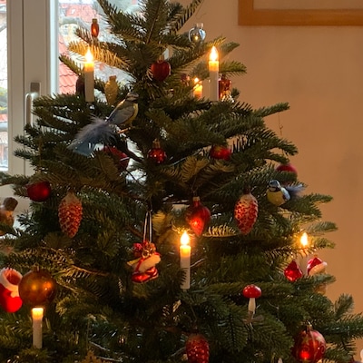 Miniature Robin - Etsy