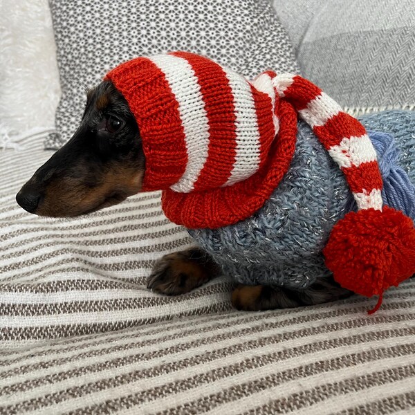 Personalized Dog Sweater With Initials, Dog Clothes With Letter of Name ...