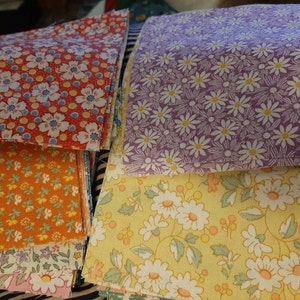 Daisy a Day Quilt Pattern Beverly Mccullough for Flamingo Toes Ziplock ...