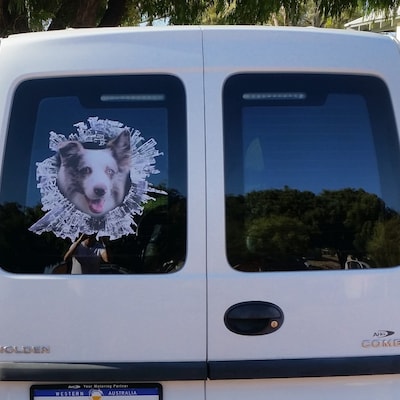 Custom Window Sticker, Laptop Sticker, Funny Decal, Pet Decal - Etsy