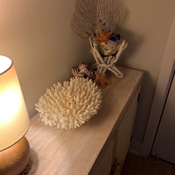 Beach Decor Table Coral - Coral - Seashells- Beach Decor - Coastal Home ...