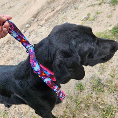 Bold and Bright Ring Lead With Tug Agility Lead-barn Hunt Lead Fyball ...