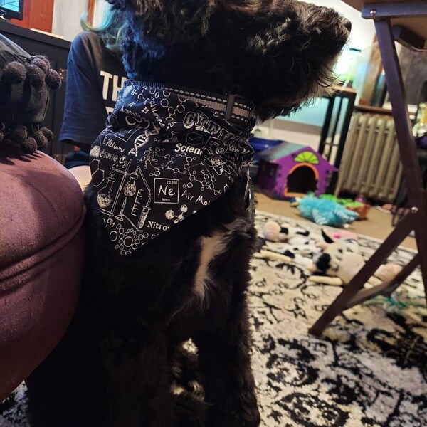 School Dog Bandana, Science Dog Collar Bandana, Chemistry Dog Bandanna ...