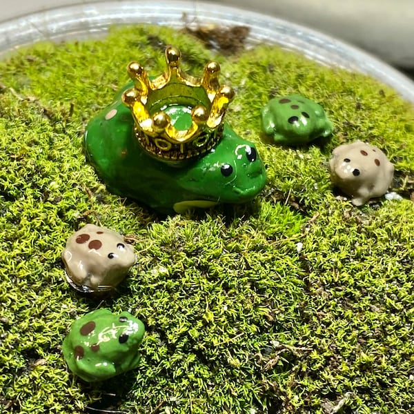 World's Tiniest Frog/ Tiny Frog/ Tiny Toad/ Mini Frog/ Mini Toad ...