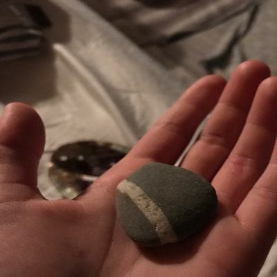 3 Devil's Purses Mermaids Purse Devils Purse Shark Egg Sack ...