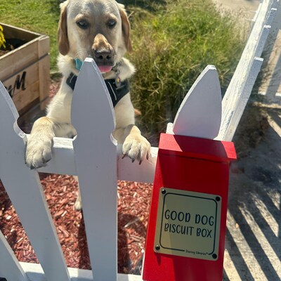 Good Dog Biscuit Box From the Family of the Founder of the Little Free ...