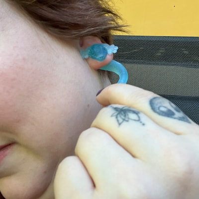 3D Printed Pair of Frog Plugs - Etsy