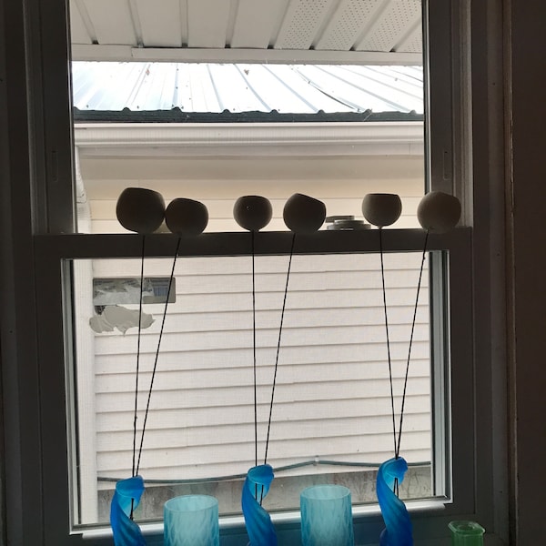 Bell Cups, Dried Flowers, Wedding Flowers, Bleached Bell Cups, Home ...