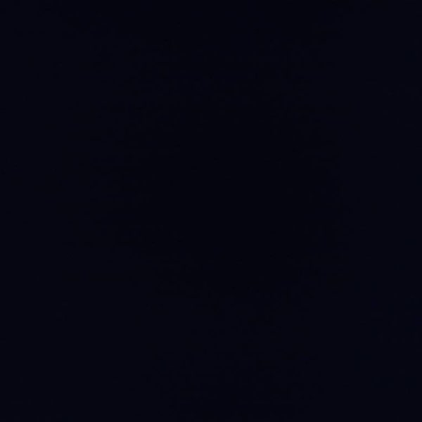 RARE Emily the Strange Skeleton X-ray Sabbath Cat Journal Notebook Mall ...