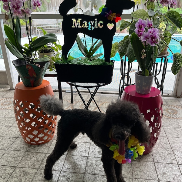 Metal Poodle Art, House Number Sign, Poodle Name Sign, Personalized Dog ...