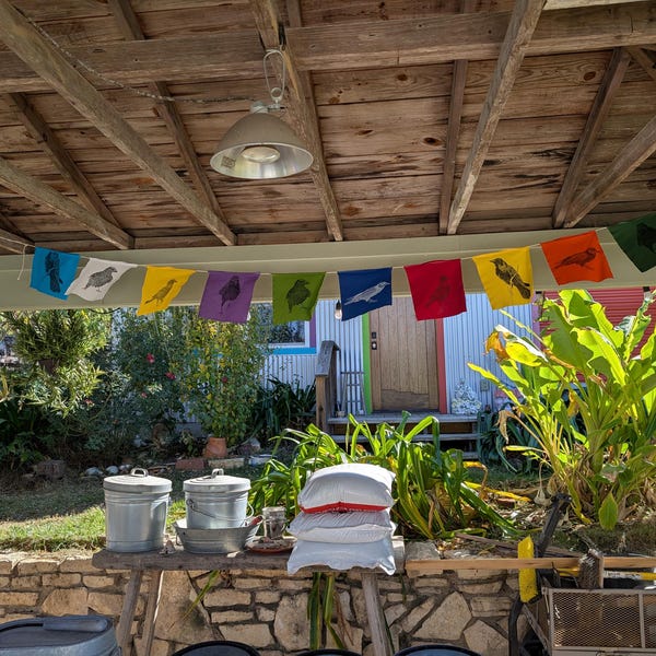 Calligraphic Corvid Head Prayer Flags - Bright Pastels - String of 10 ...