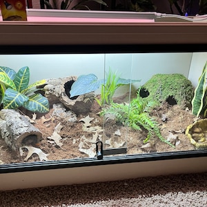 Plastic Moss Pads: Artificial Aquarium Plants Reptile Terrarium Plants ...