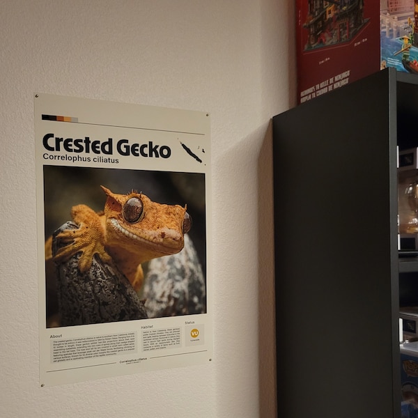 Crested Gecko Wall Art | Digital Print | Minimalist Animal Print ...