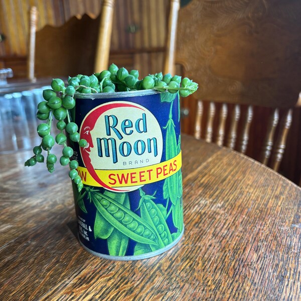 1970s Brach's Candyland Candy Candies Price Signs Price Tags Original ...