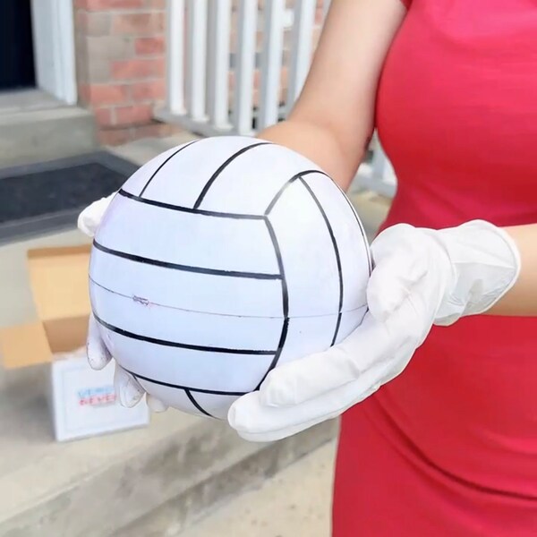 Powder VOLLEYBALL | Gender Reveal Volleyball |exploding Volleyball for ...