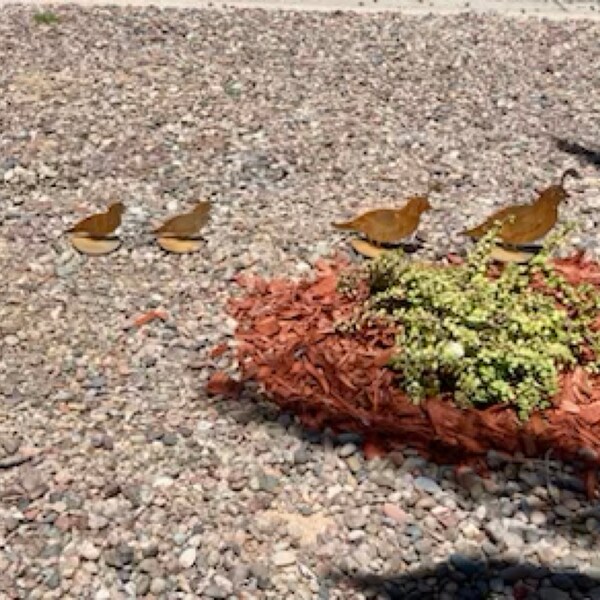 Rustic Metal Raccoon Rusty Yard Art. - Etsy