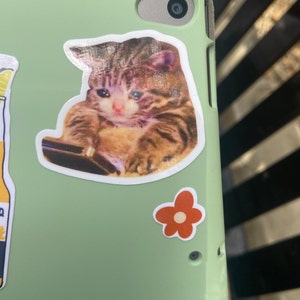 Crying Cat Sticker Pack Pack of 7 Meme Crying Cat Stickers - Etsy
