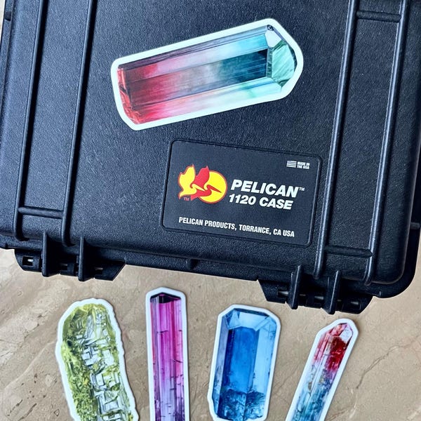 The Forager No. 1- Edible Wild Foods Poster, Foraging Poster, Edible ...