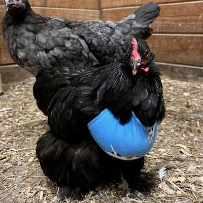 Japanese Rice Pouch, Courthouse Steps Quilting, Komebukuro, Project Bag ...