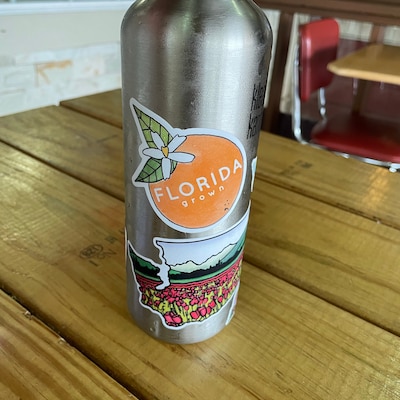 Watercolor Florida Grown Orange Die Cut Sticker - Etsy