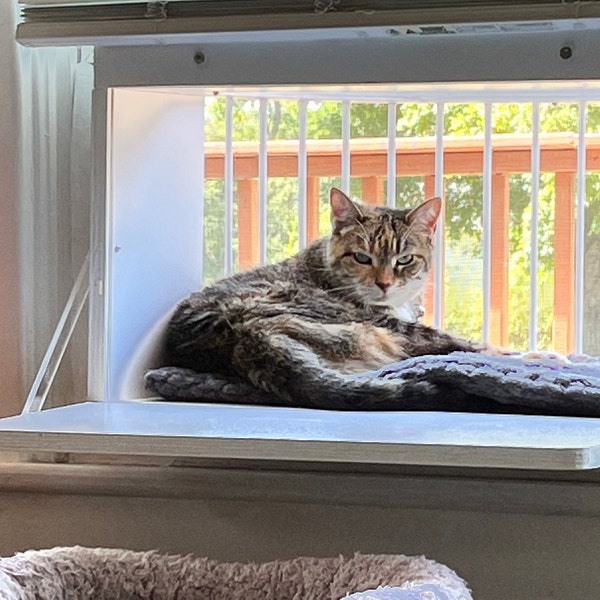 Cat Solarium Sunroom Package: the Ultimate Cat Window Box. This Catio ...