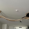 Plywood Ceiling Cat Bridge: Modern Cat Shelves Set - Etsy