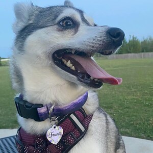 Purple Dog Tag, Custom Dog Tag, Floral Dog Tag, Floral Pet Tag Purple ...