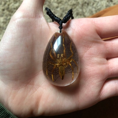 REAL Orb Weaver Teardrop Spider on Real Preserved Spider Web Necklace ...