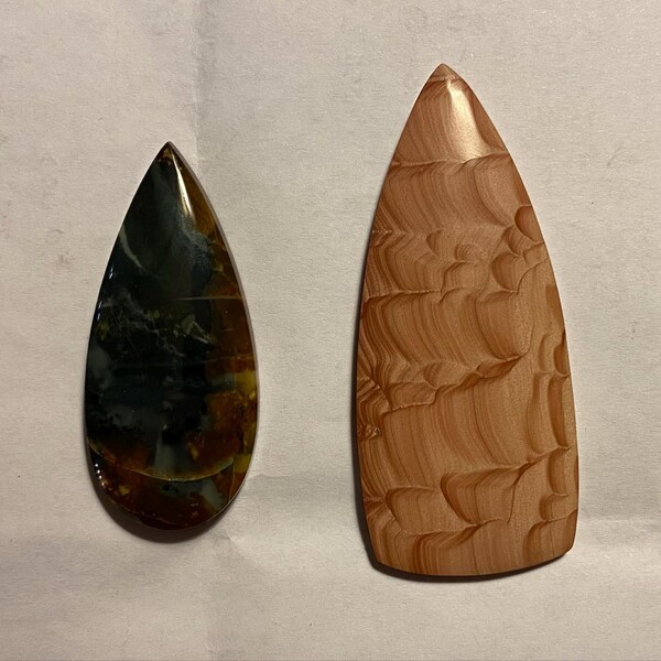 Grasshopper ? Larva - Nematode Worm Parasite - Fossil Plate - Etsy