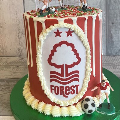 Fifa 16 Game Cover Cake Topper Edible Icing - Etsy