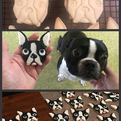 Cole the Boston Terrier Boston Terrier Cookie Cutter Dog Face Cookie ...