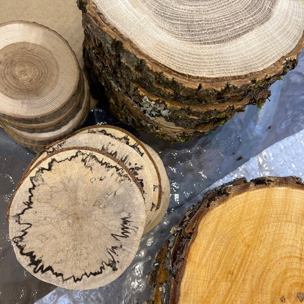 20 Small Juniper Tree Slices Small Wooden Slices Rustic Wood Slices for ...