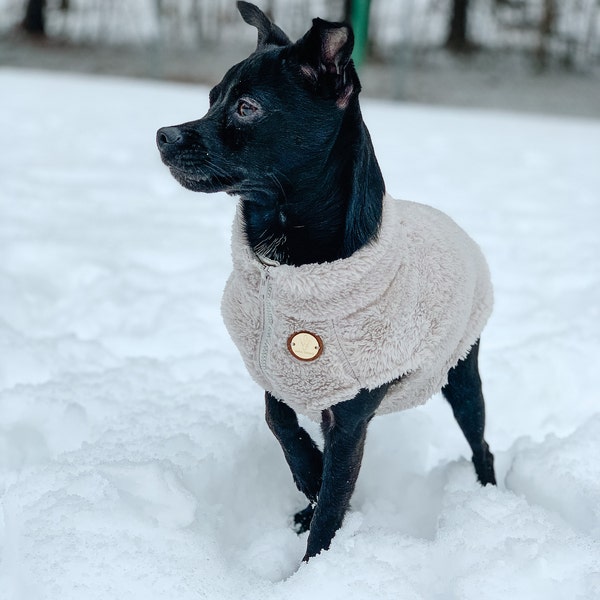 Dog Flight Jacket | Red - Etsy