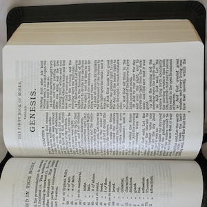 KJV Journaling Bible Rustic Leather - Etsy Canada