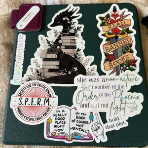 Find Your Own Path Sticker, Boho Sunset Sticker, Beetle Lover Decal ...