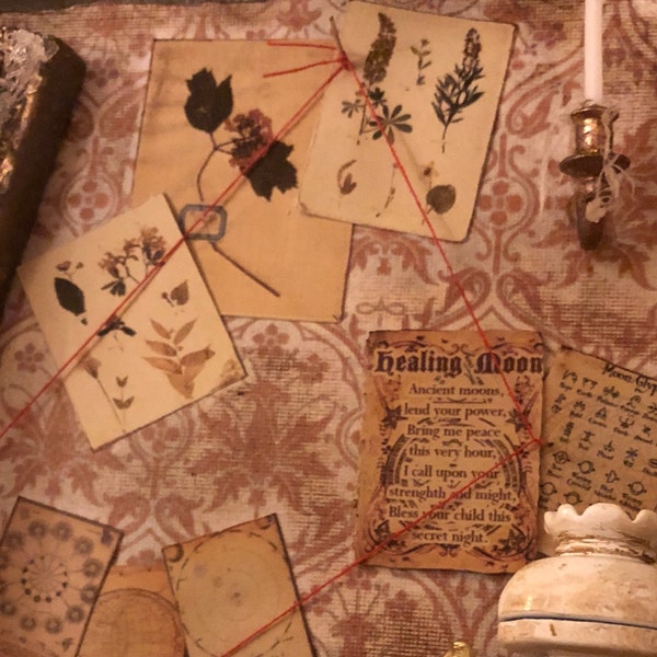 9 WIZARD MAGIC Miniature Scroll Set #3 – 1:12 Diy Dollhouse Miniature ...