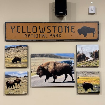 Buffalo Yellowstone National Park Wood Sign, Personalized Favorite Park ...