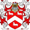 Simmons Family Crest Digital Download Simmons Coat of Arms JPG File ...